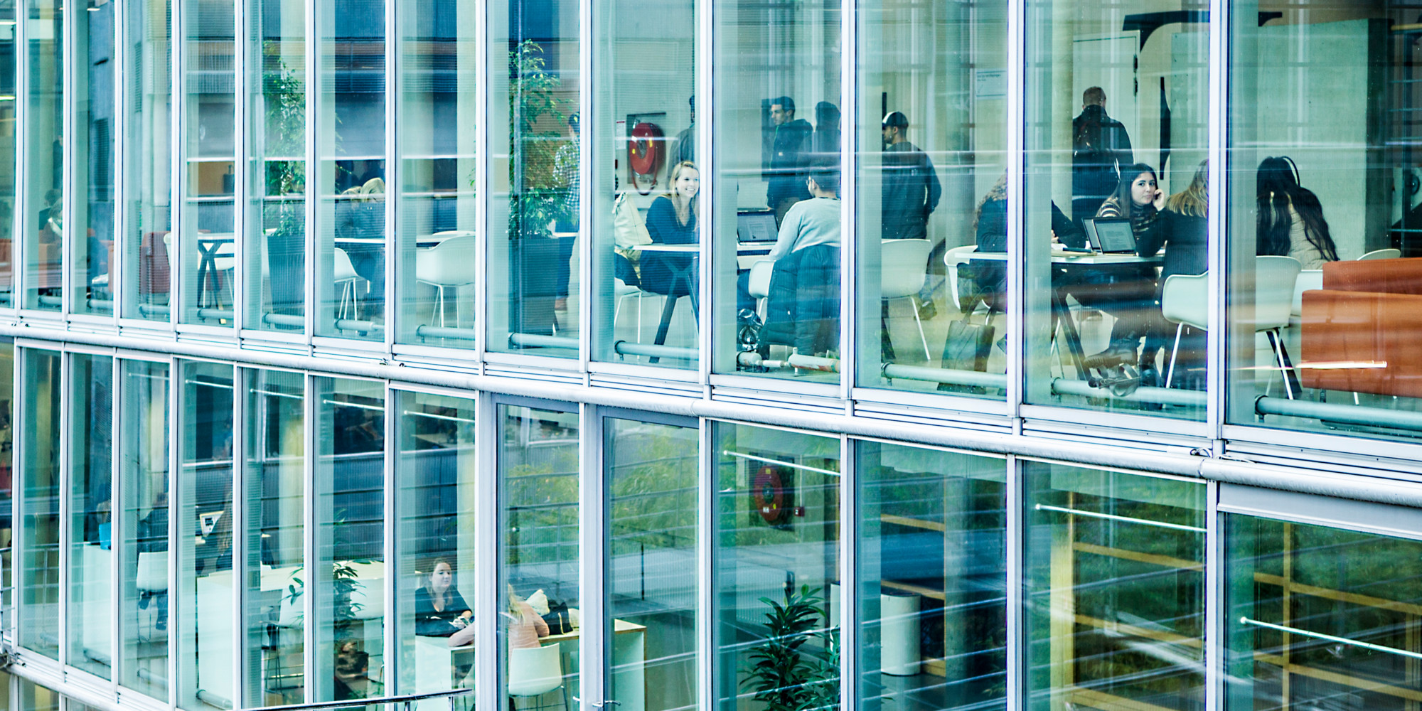 Why study at HU | HU University of Applied Sciences Utrecht