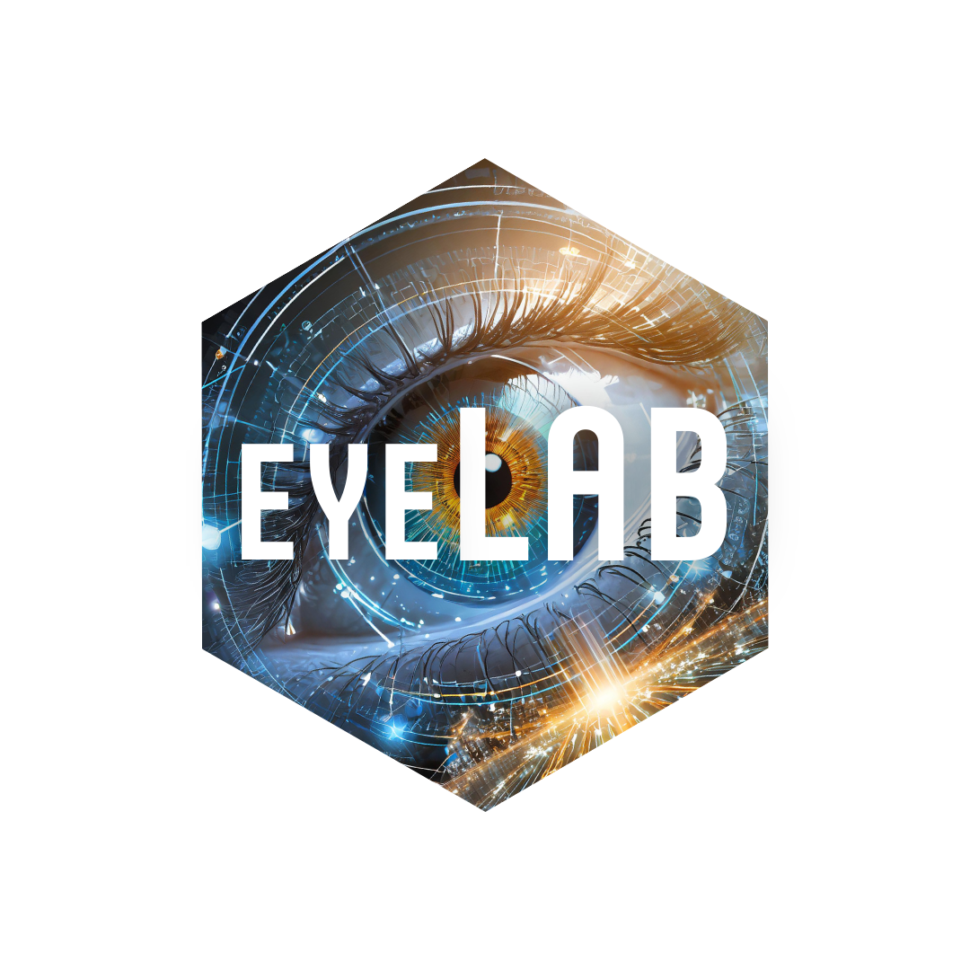 Eye-LAB - Teaching complex visual tasks in higher education | HU ...