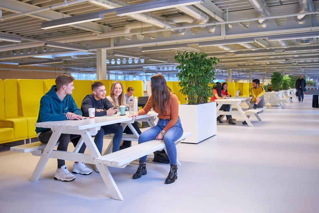 Complexity in educational innovation | HU University of Applied ...