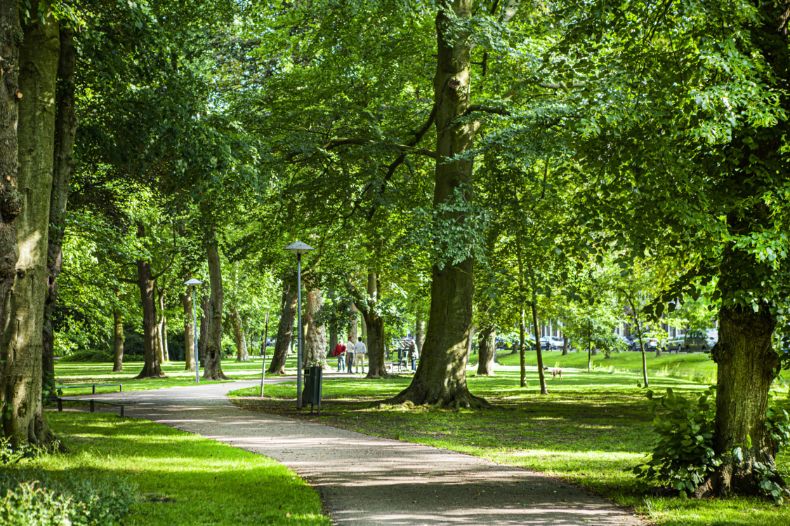 Outdoor opportunities Nature as learning environment at UAS | HU ...